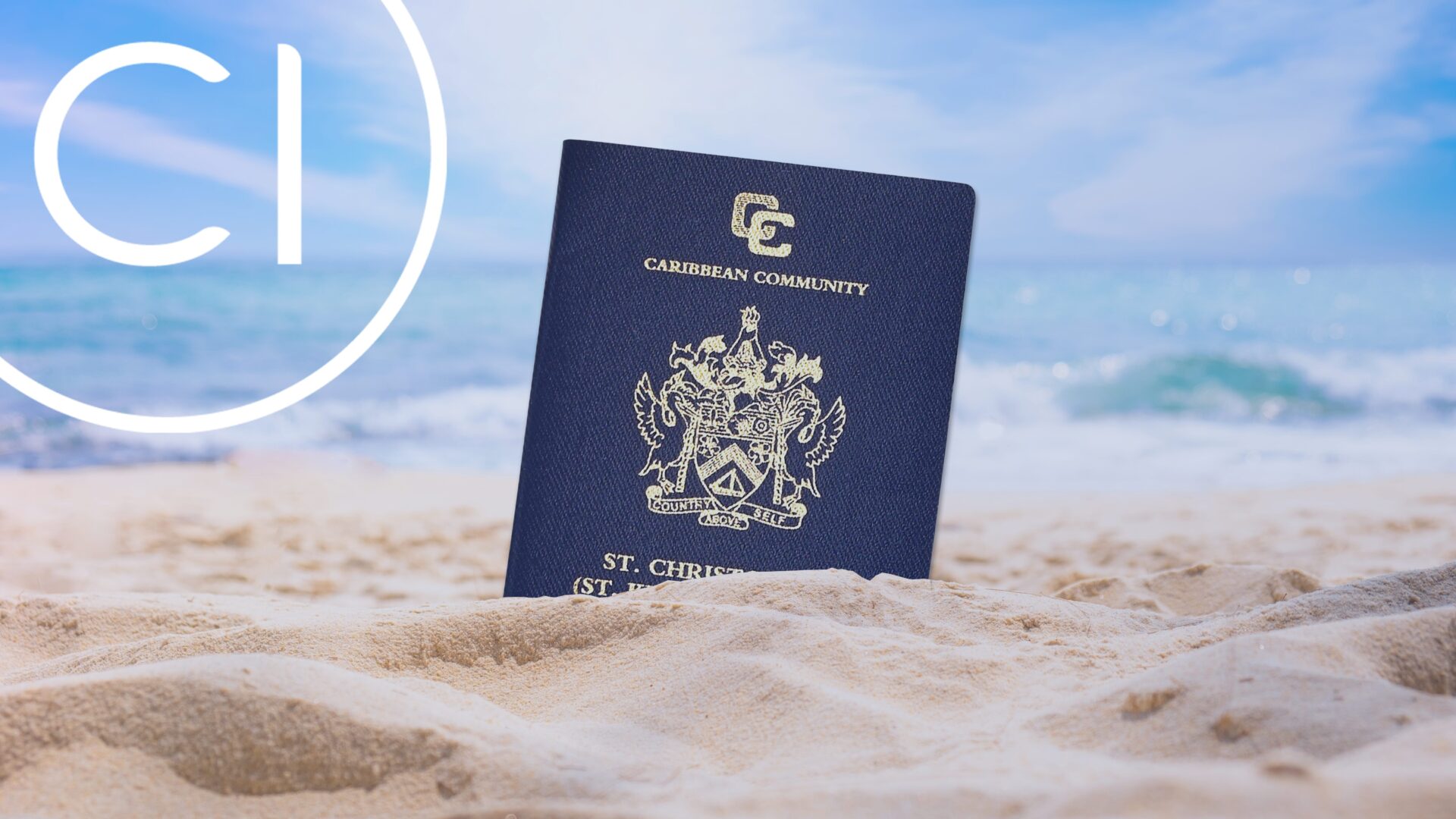 Investing in Global Citizenship? Here are the Top Programs for 2024 to ...